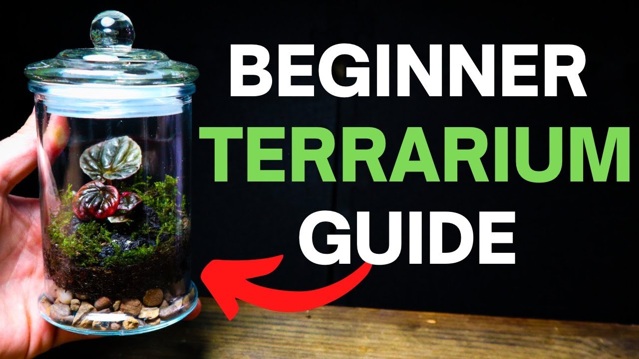 How To Make a Terrarium - A SIMPLE Beginner Guide - Prepared Gardener