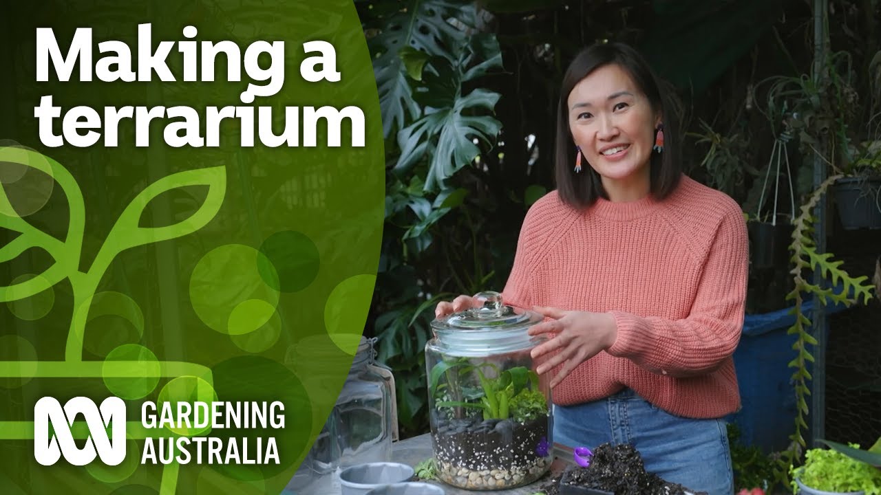 How to make a terrarium | Indoor plants | Gardening Australia - Prepared Gardener